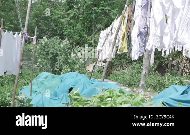 Unraveling the Laundry Line - A Washed-in-Nature Vignette Stock Video ...