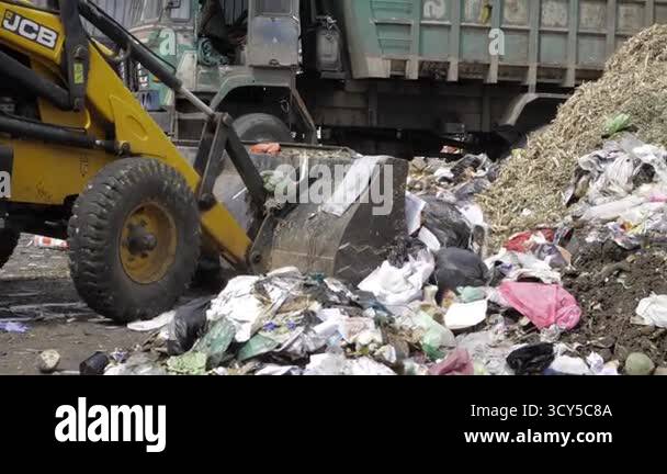 Unveiling the Tidiness of Trash Disposal - A Glimpse into the World of ...