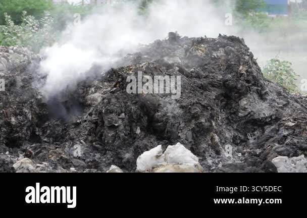 Rotten heart Stock Videos & Footage - HD and 4K Video Clips - Alamy
