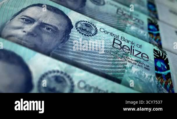 Belize money Belizean dollars banknote loop. BZD 100 money texture ...