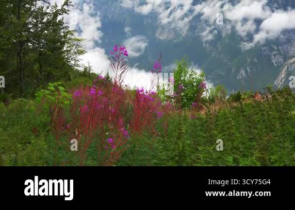 Triglav summit panorama view Stock Videos & Footage - HD and 4K Video ...