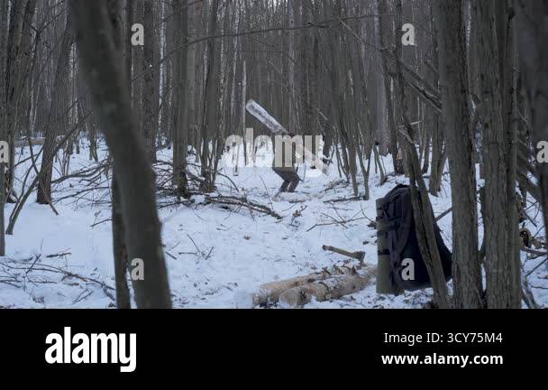 Firewood camp in forest Stock Videos & Footage - HD and 4K Video Clips ...