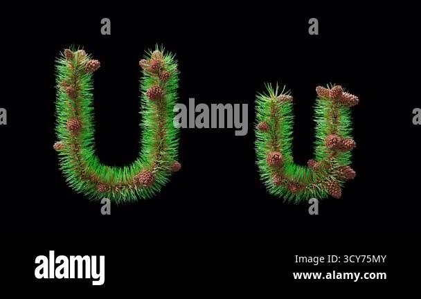 3D animation of uppercase and lowercase letter U shaped with pine ...