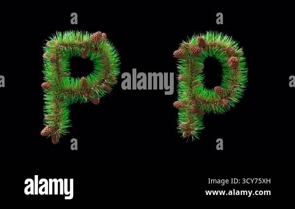 3D animation of uppercase and lowercase letter P made from pine needles ...