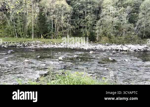 River flows through rocks forest Stock Videos & Footage - HD and 4K ...