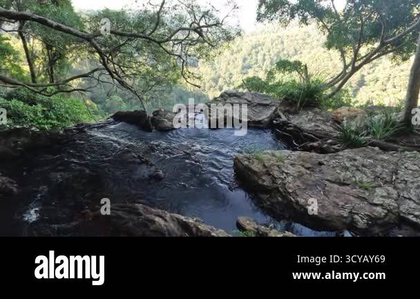 Flowing water over rocks in dense greenery Stock Video Footage - Alamy