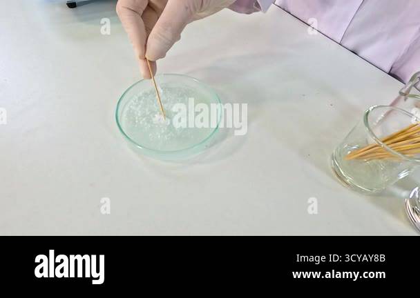 Rapid crystallization Stock Videos & Footage - HD and 4K Video Clips ...