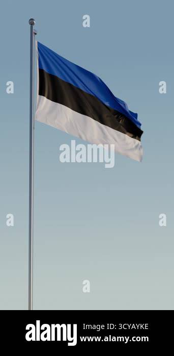 Estonia Tallinn Flag Seamless Loop Cinematic Realistic Waving Blue Sky ...