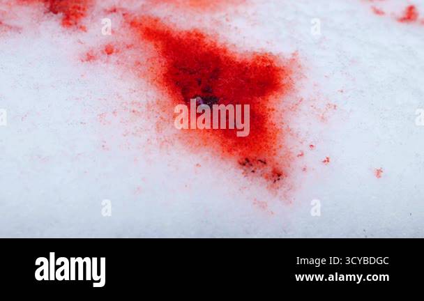 Red blood wallpaper.Bloody trace on snow texture. Red Stain on Snowy ...