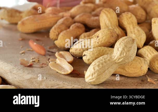Peanuts. Groundnuts. Peanut cleaning process.Close-up of fingers ...