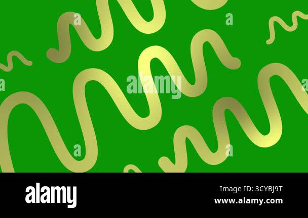 Animated golden decorative wavy lines is drawn. Linear background ...