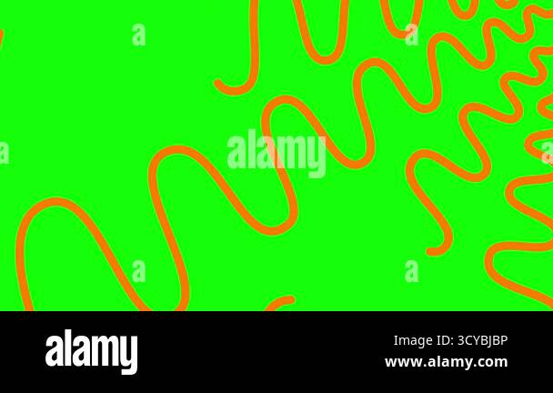 Animated orange decorative wavy lines is drawn. Linear background ...