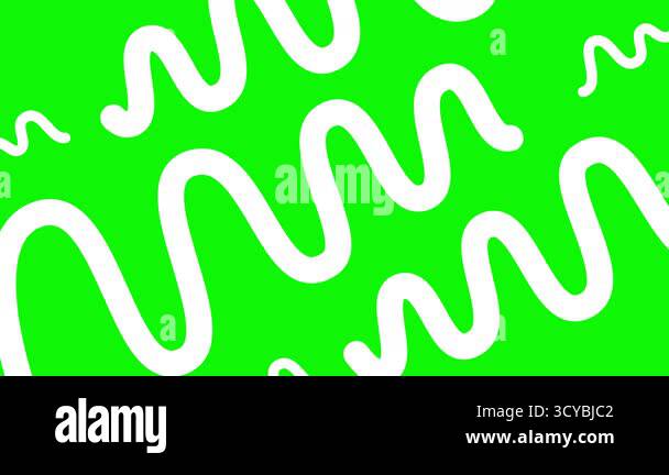 Animated white decorative wavy lines is drawn. Linear background ...