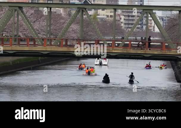 Oyoko River Cherry blossoms, Japan Tokyo 2025 Stock Video Footage - Alamy