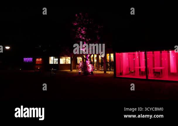 Kiba Park Illumination, Japan Tokyo Night View 2025 Stock Video Footage ...