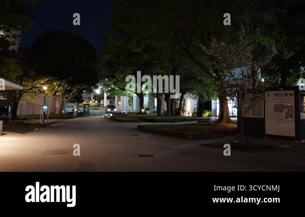Sumida Park, Japan Tokyo Night View 2025 Stock Video Footage - Alamy