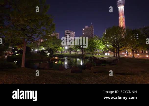 Sumida Park, Japan Tokyo Night View 2025 Stock Video Footage - Alamy
