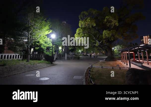 Sumida Park, Japan Tokyo Night View 2025 Stock Video Footage - Alamy