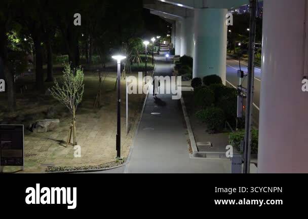 Sumida Park, Japan Tokyo Night View 2025 Stock Video Footage - Alamy