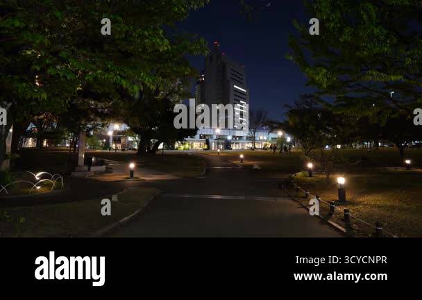 Sumida Park, Japan Tokyo Night View 2025 Stock Video Footage - Alamy