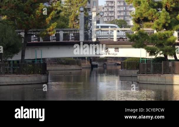 Yokojukkengawa Shinsui Park, Japan Tokyo 2025 Stock Video Footage - Alamy
