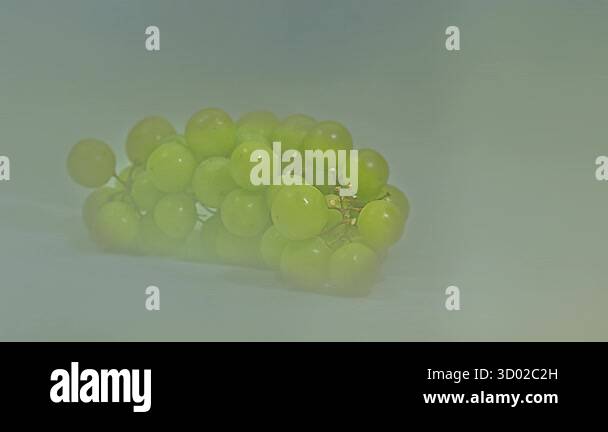 A close up of fresh green grapes covered in gentle mist, capturing ...