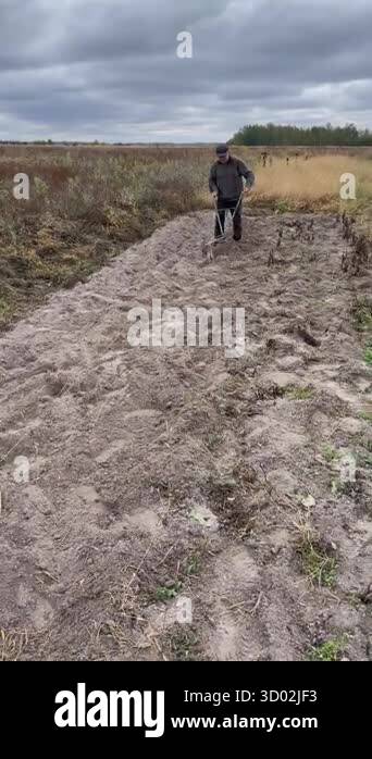 An elderly man plows the soil by hand with a simple plow in a rural ...