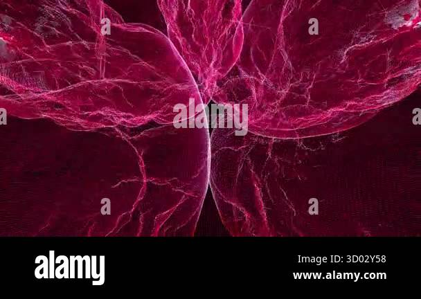 Two large, translucent magenta spheres connected at the center. Fine ...