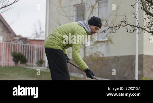 Man Raking Fallen Yellow Leaves in Backyard Garden. Autumn Overcast Day ...