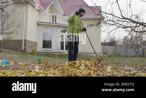 Man Raking Fallen Yellow Leaves in Backyard Garden. Autumn Overcast Day ...