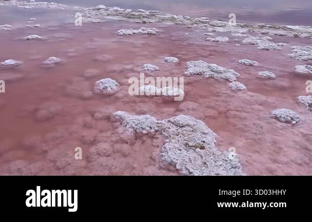 Kuialnyk Estuary, salt Sodium chloride crystallized on the bottom of a ...