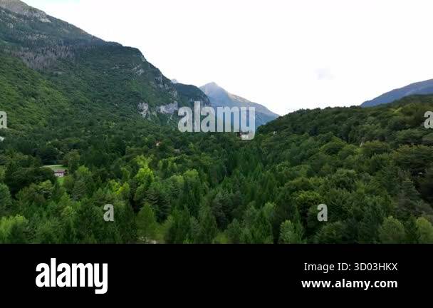 A stunning panoramic view of the verdant forest surrounded by majestic ...