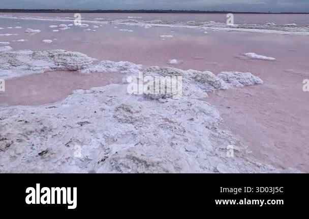 Kuialnyk Estuary, salt Sodium chloride crystallized on the bottom of a ...
