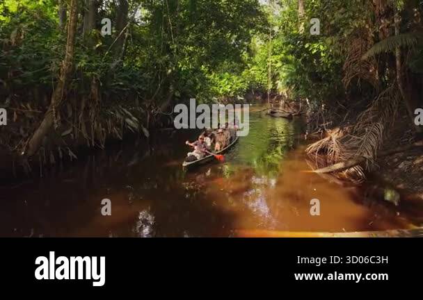 Tourists paddling narrow, shadowy river channel, dense rainforest ...
