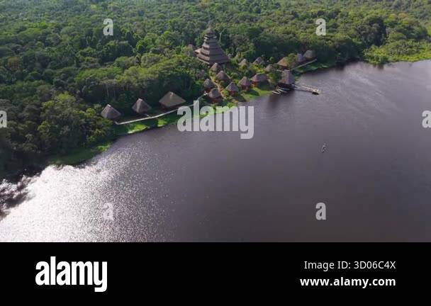 Peaceful Amazon river flowing near lush rainforest, sunlight gleaming ...