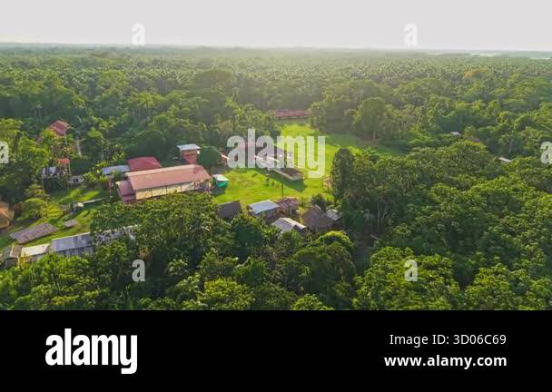 Aerial view of Amazon rainforest small settlement nestled amid dense ...