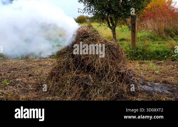 Suffocating incident Stock Videos & Footage - HD and 4K Video Clips - Alamy