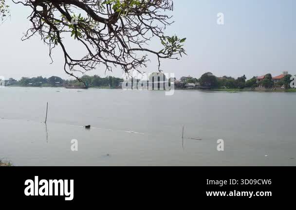 Calm water surface with overhanging tree branches Stock Video Footage ...