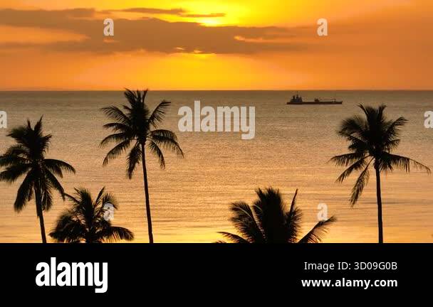 Tropical landscape coconut trees ship Stock Videos & Footage - HD and ...