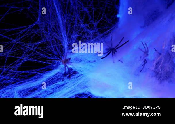 Halloween Mockup with Web and Smoke. Halloween spider web background ...