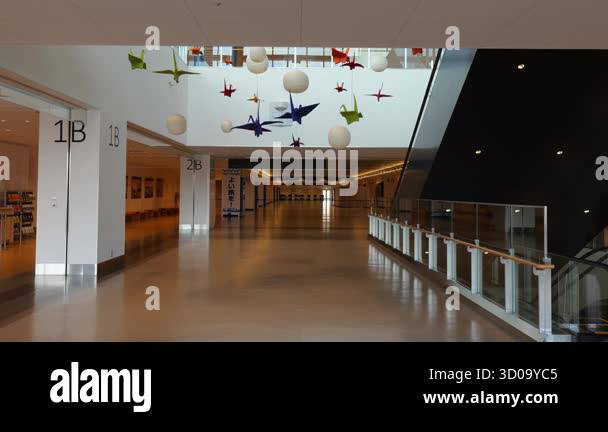 Tokyo International Cruise Terminal January 2025 Stock Video Footage ...