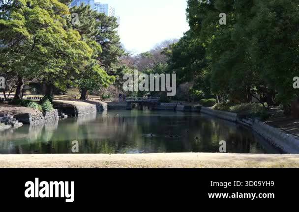 Hama-rikyu Gardens, Japan Tokyo 2025 Stock Video Footage - Alamy