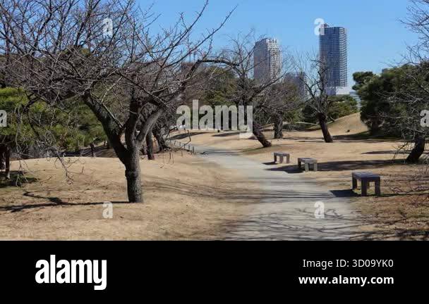 Hama-rikyu Gardens, Japan Tokyo 2025 Stock Video Footage - Alamy