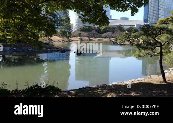 Hama-rikyu Gardens, Japan Tokyo 2025 Stock Video Footage - Alamy
