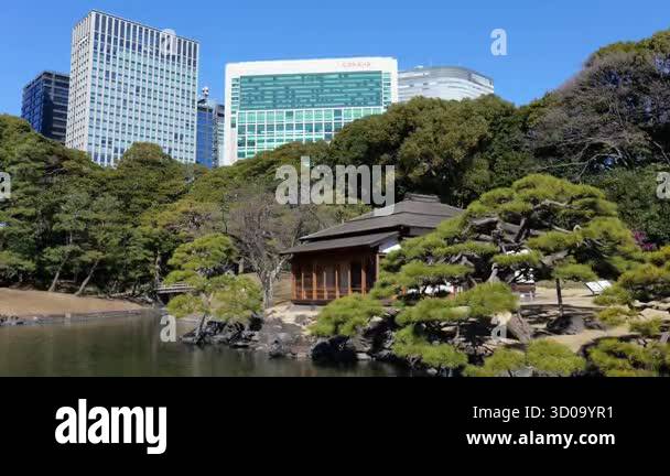 Hama-rikyu Gardens, Japan Tokyo 2025 Stock Video Footage - Alamy