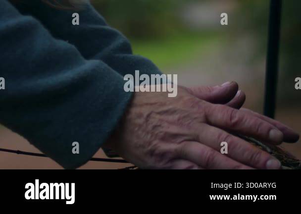 Hand picking up twigs and leaves in autumn close up super slow motion ...