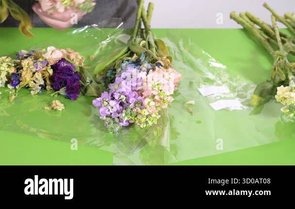 Two hands work to align and flatten the stems of stock flowers before ...