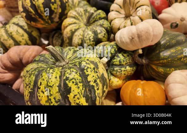 Autumn vegetables colored pumpkins Stock Videos & Footage - HD and 4K ...