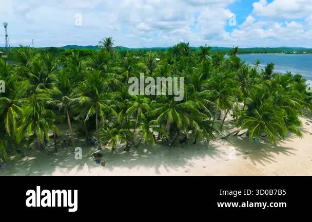 Aerial view of a tropical white sand beach lined with abundant palm ...