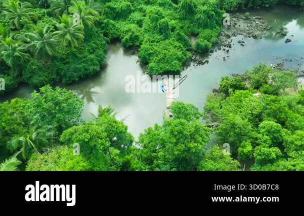 Aerial perspective of a narrow river winding through tropical jungle ...